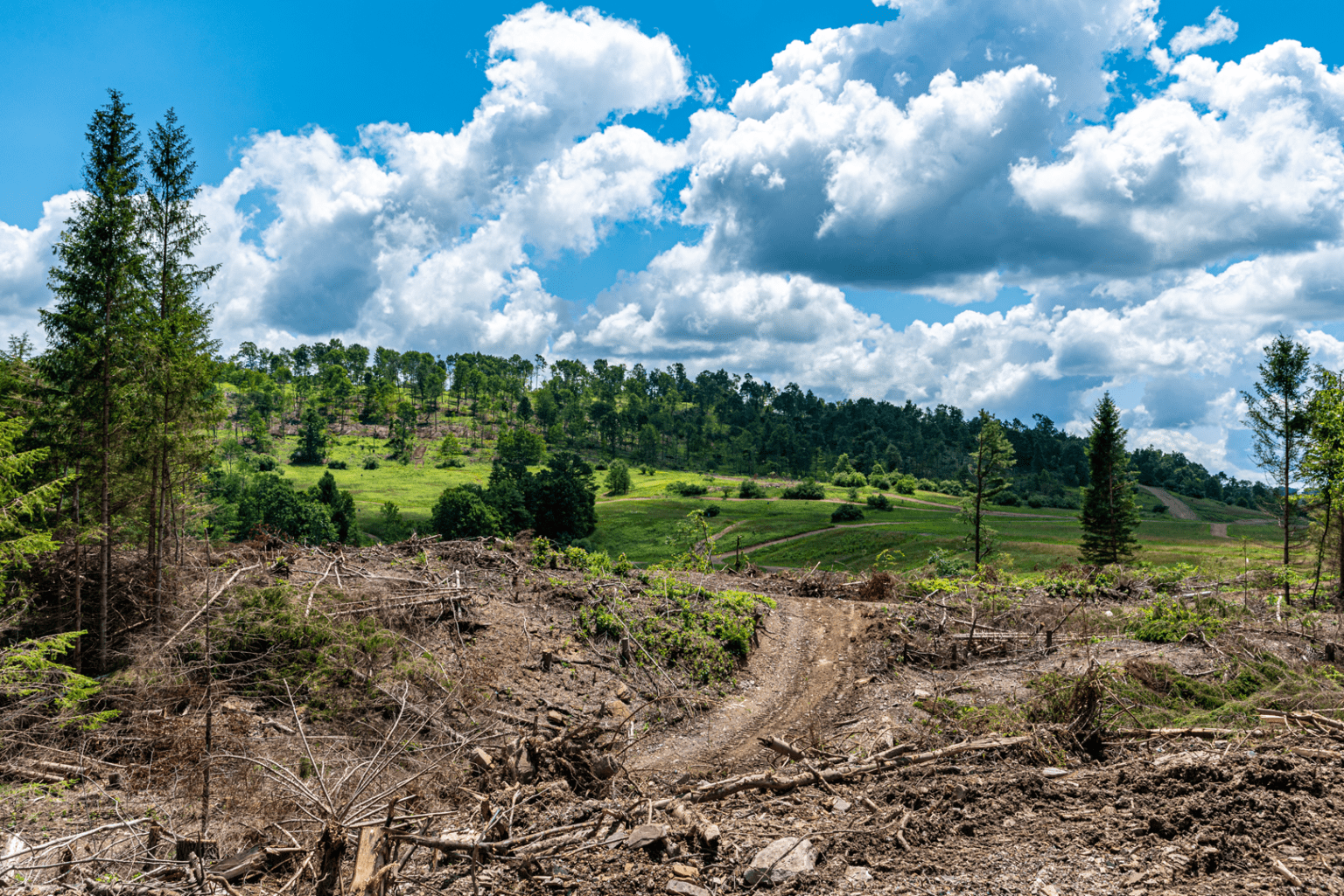 Test Your Precision - Ben Franklin Range